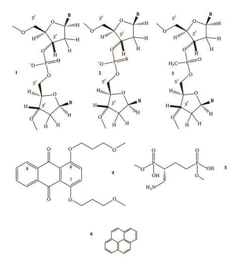 2′ Deoxydinucleotides Connected By The Natural Phosphodiester P O