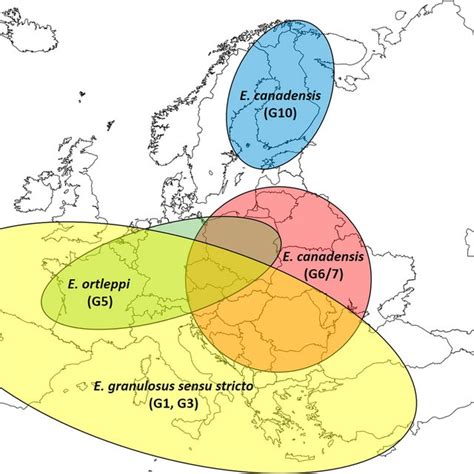 Approximate Geographical Distribution Of Echinococcus Granulosus Sensu Download Scientific