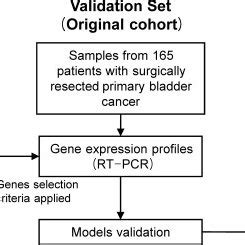 Study Design And Validation Strategies Download Scientific Diagram