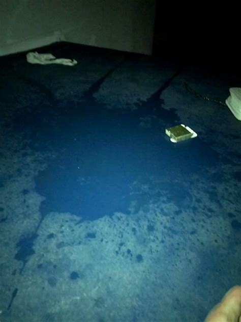 Ntusex Ntusex Twitter