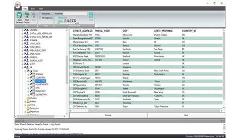 Stellar Phoenix Database Repair For Oracle 4000 Filecr
