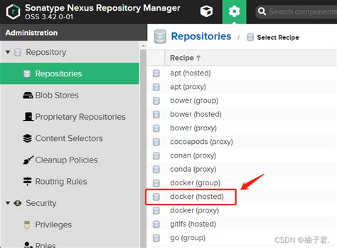 使用nexus3搭建内网docker私仓 nexus docker私有仓库 csdn博客