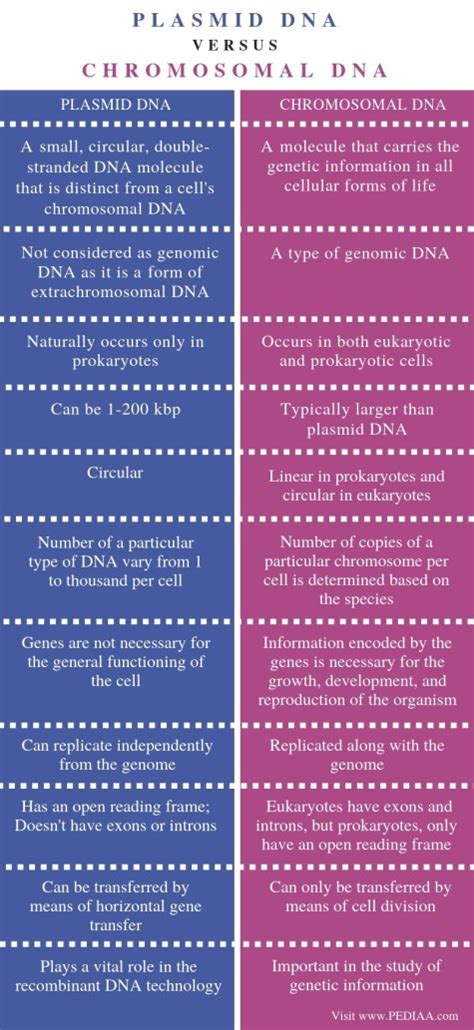 What Is The Difference Between Plasmid Dna And Chromosomal Dna Pediaa Com