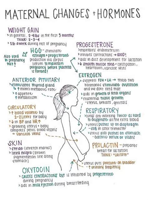 Ob Maternity Bundle Nursing OB Maternity Bundle Study Etsy