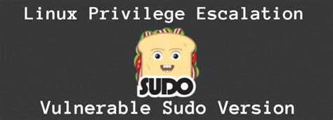 Linux Privilege Escalation Vulnerable Sudo Version Steflans Security Blog