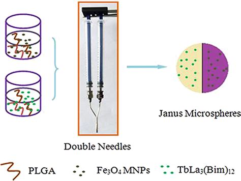 Schematic Of The Preparation Of Janus Microspheres Download Scientific Diagram