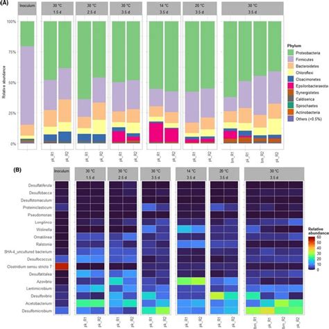 Taxonomic Classification Of The Dominant Phylogenetic Groups Of Download Scientific Diagram