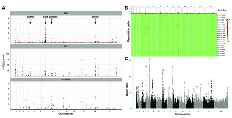 Signatures Of Positive Selection In The Genomes Of Temporal And
