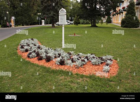 This Line Appears To Be A Technical Or Coding Reference Likely Related To A Digital Document Or