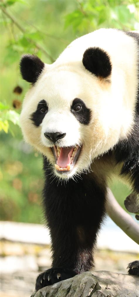 어마어마한 규모” 푸덕이라면 내일 반드시 홍대입구 가야 하는 이유 애니멀스토리