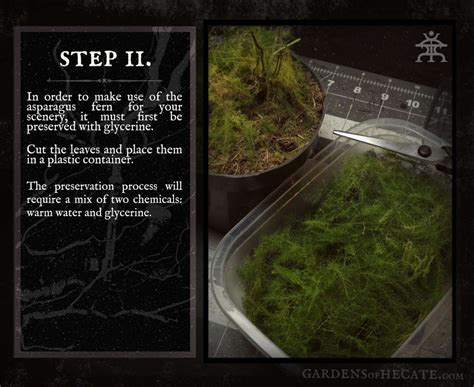 Tutorial Realistic Pine Trees Gardens Of Hecate