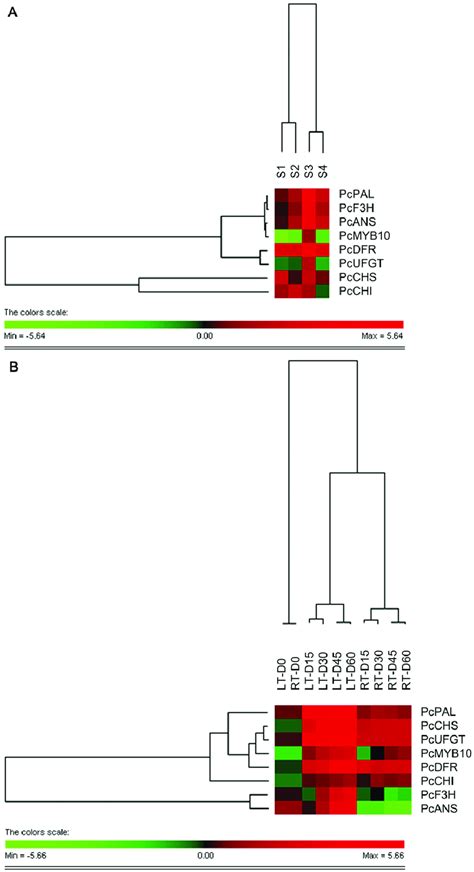 hierarchical clustering analysis of the log2 of the transcript levels