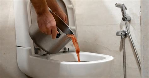 Можно ли выливать суп в унитаз Со Вкусом