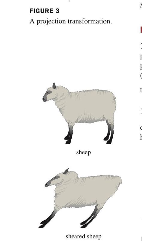 My Linear Algebra Textbook Has Jokes On Shear Transformations R