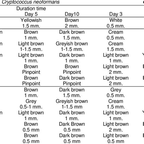 Colony Morphology Of Cryptococcus Neoformans And Candida Albicans