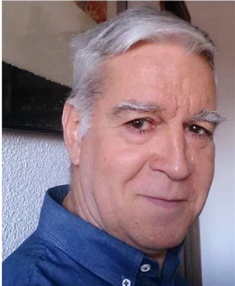 Figure 13 From Respecting Linguistic Diversity Language