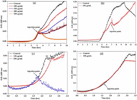 Growth Kinetics Of Bacteria In The Presence Of Different