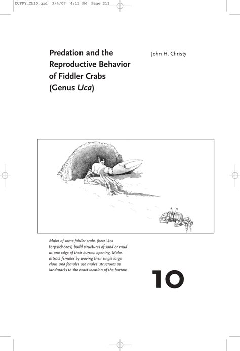 Pdf Predation And The Reproductive Behavior Of Fiddler Crabs Genus Uca