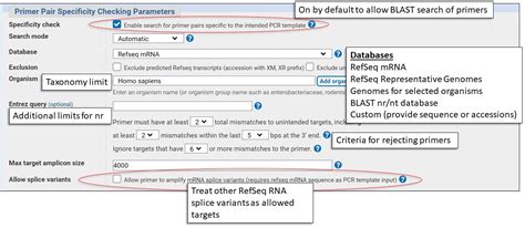 the primer blast interface