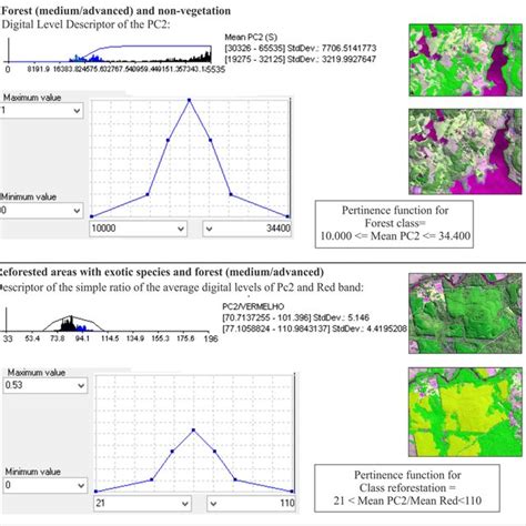 fuzzy logic pertinence functions for forest in medium advanced stage