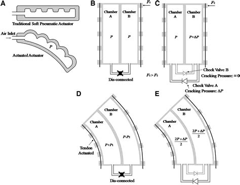 A Novel Tendon Driven Soft Actuator With Self Pumping Property Soft Robotics