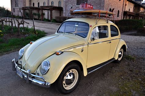 Buy Used Vw Beetle At Sharlene Burcham Blog