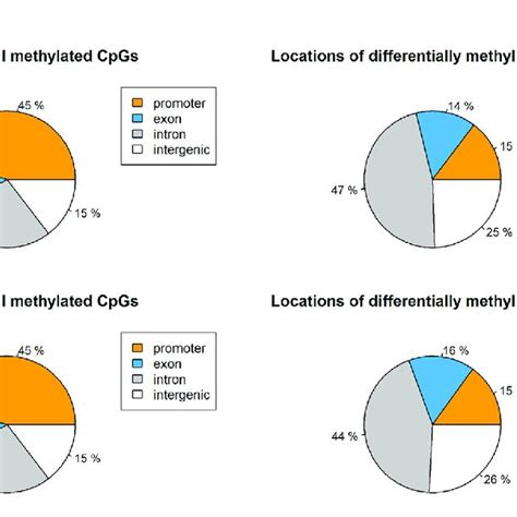 Global Distribution Of Differentially Methylated Cpgs Per Chromosome