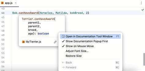 Javascript Documentation Look Up Intellij Idea Documentation