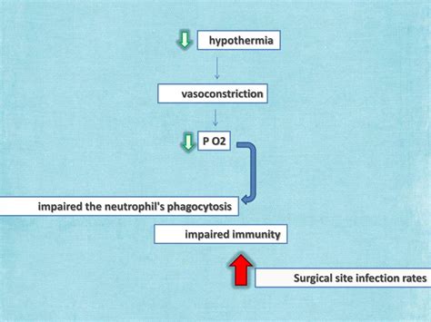 Ppt Anesthesia Documentation Of Intraoperative Temperature Powerpoint Presentation Id 5044288