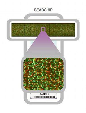 SNP Arrays Haematological Malignancy Diagnostic Service