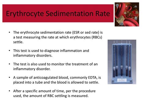 PPT Performing A Erythrocyte Sedimentation Rate PowerPoint Presentation ID 1478440