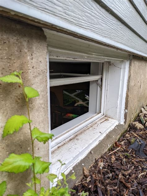 Is There A Way To Prevent All Zombie Spawning On Day 1 Rprojectzomboid