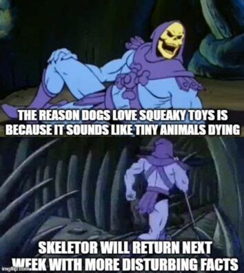 40 Funny Skeletor Memes Thatll Make You Laugh Your Bones Off February