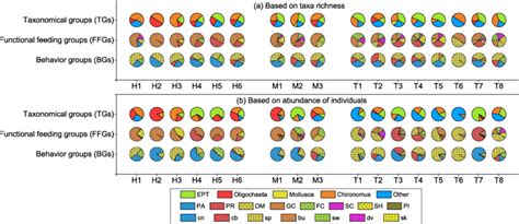 Composition Of Macroinvertebrate Communities Download Scientific Diagram