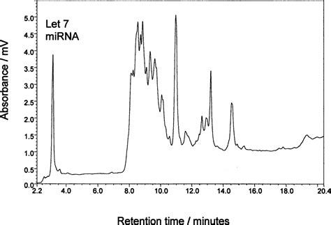 Enrichment And Analysis Of Rna Centered On Ion Pair Reverse Phase