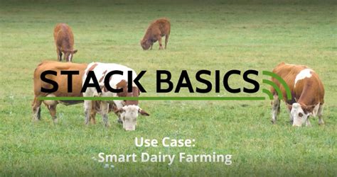 Stackforce News Embedded Software With Lpwan Technologies