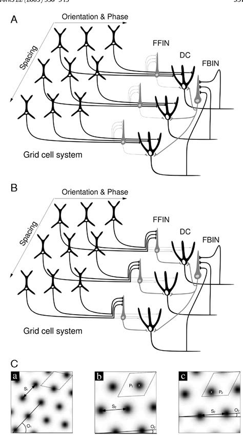Distance Coding Strategies Based On The Entorhinal Grid Cell System