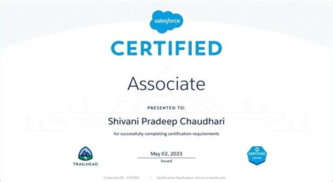 Shivani Chaudhari On Linkedin Salesforceassociate Salesforce