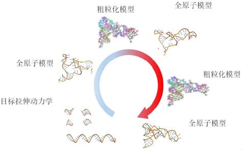基于多尺度分子动力学模拟的rna结构预测方法