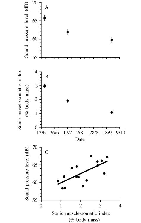 Mean Sound Pressure Level A Spl Re 20 µpa And Sonic Muscle Somatic Download Scientific