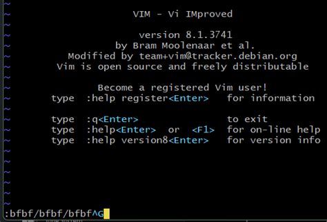 Vim Odd Characters Typed When Launching Vi Super User