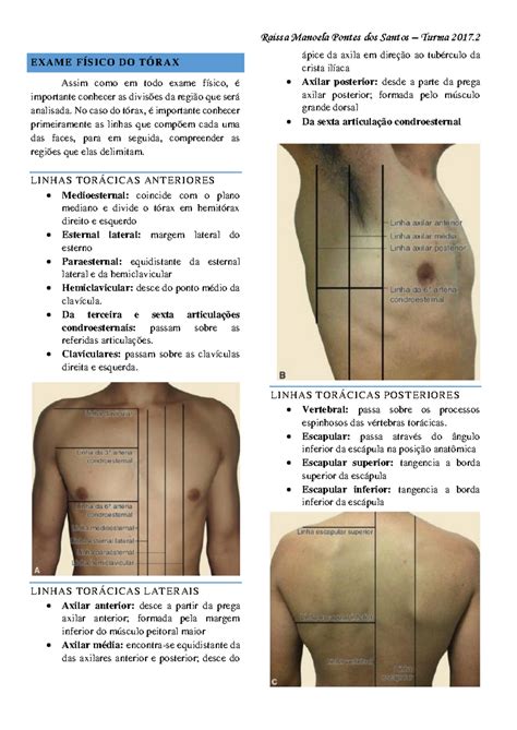 Anatomia Do Tórax Habilidades Médicas Anatomia Do TÓrax O Tórax