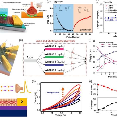 Neuromorphic Applications Of The 2d Material Based Memory Devices A