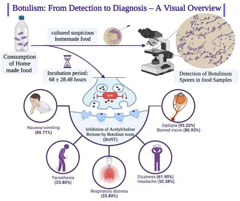 Clostridium Botulinum Spores