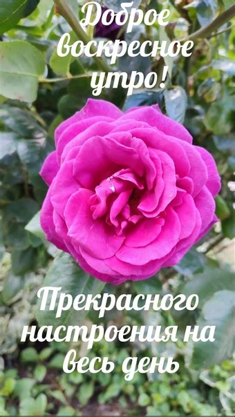 Доброе утро Мариуполь Мариуполь Главное АКМ 101 ВКонтакте