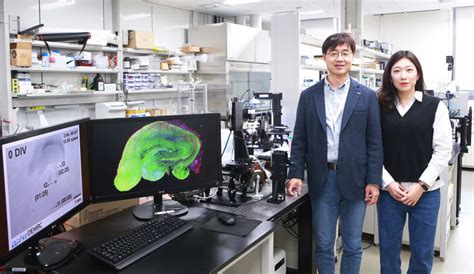dgist 몸속 신경망 외부에서 연결할 수 있는 마이크로로봇 개발 전자신문