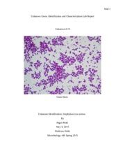 Unknown Genus Identification And Characterization Lab Autosaved Patel Unknown Genus