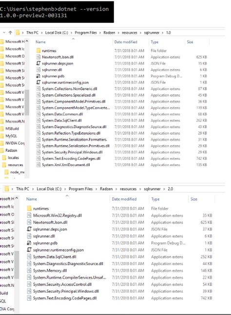 Error Creating A New App Angular Radzen