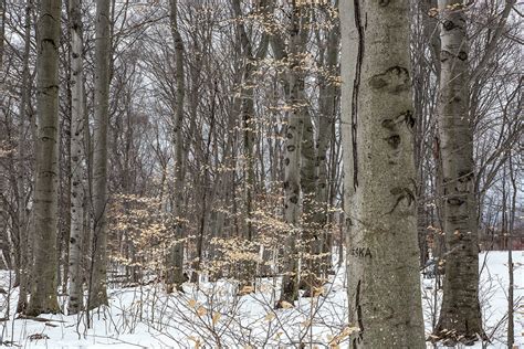 Tendick Nature Park A Wealth Of Nature A Wealth Of Nature