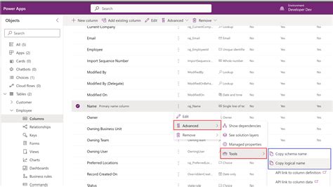 Tip Dataverse Quickly Copy Columns Logical And Schema Names Rajeev Pentyala Technical